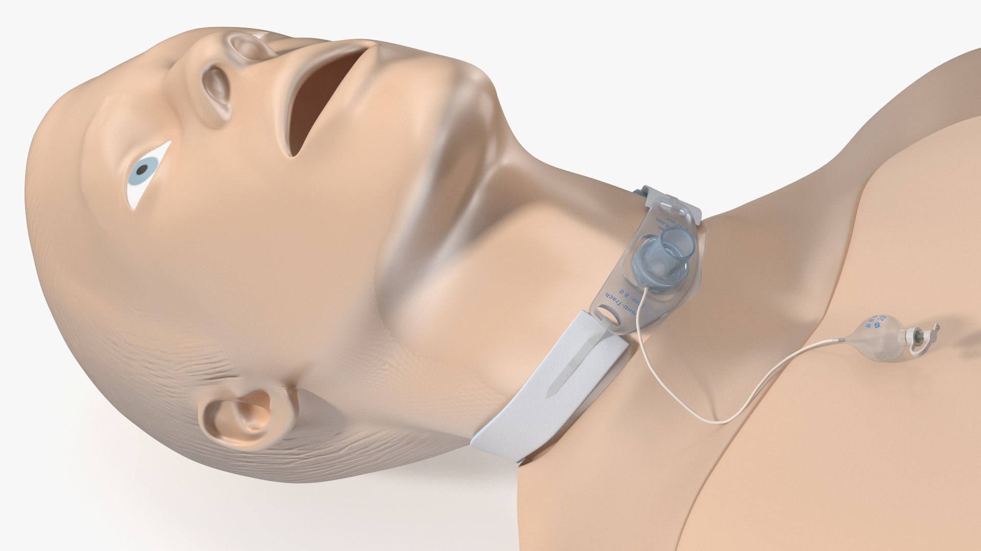 3D Model Adult Airway Simulation Manikin With Tracheostomy Port - TurboSquid 2406188