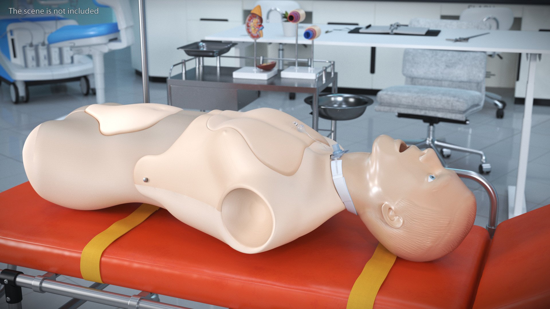 3D Model Adult Airway Simulation Manikin With Tracheostomy Port - TurboSquid 2406188