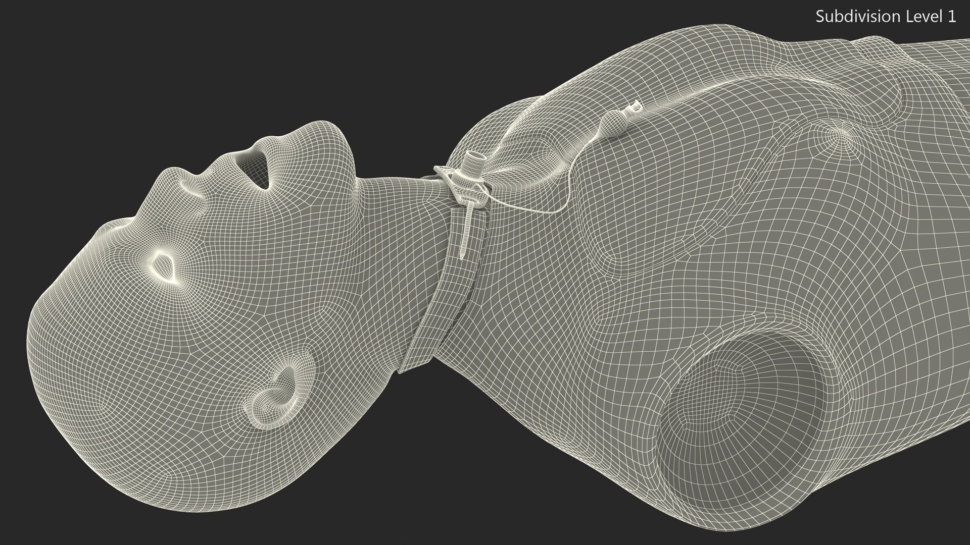 3D Model Adult Airway Simulation Manikin With Tracheostomy Port ...