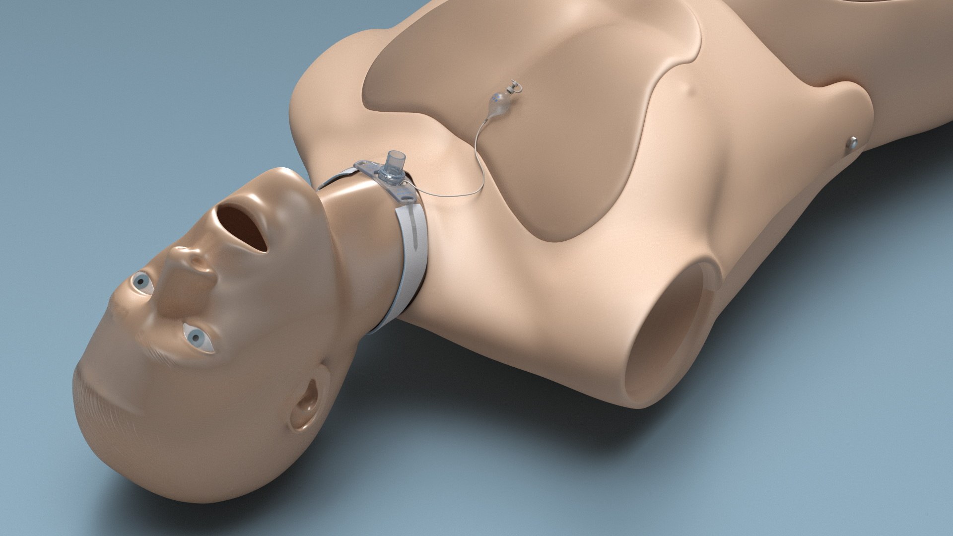3D Model Adult Airway Simulation Manikin With Tracheostomy Port - TurboSquid 2406188