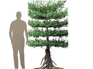 Free 3D Indian Models | TurboSquid