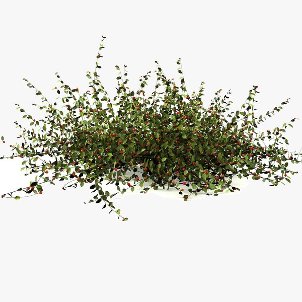 Plants Prop 3D Studio Models for Download | TurboSquid