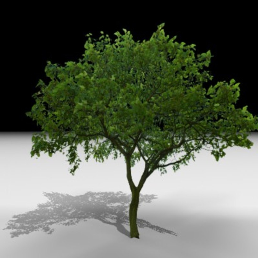 Tree J3d 3d Max
