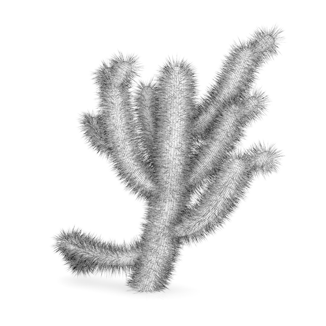 Cholla Cactus 3D Model - TurboSquid 1205276
