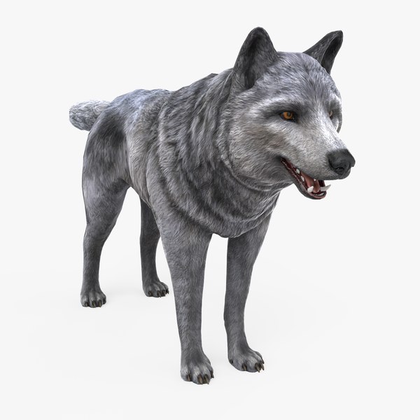 modelo 3d Lobo de baja poli - TurboSquid 2037736