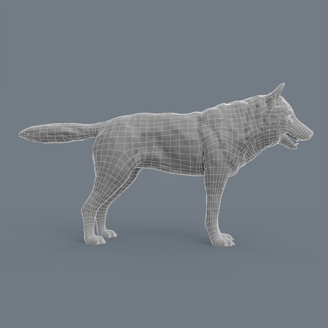 Wolf Low Poly Model - TurboSquid 2037736