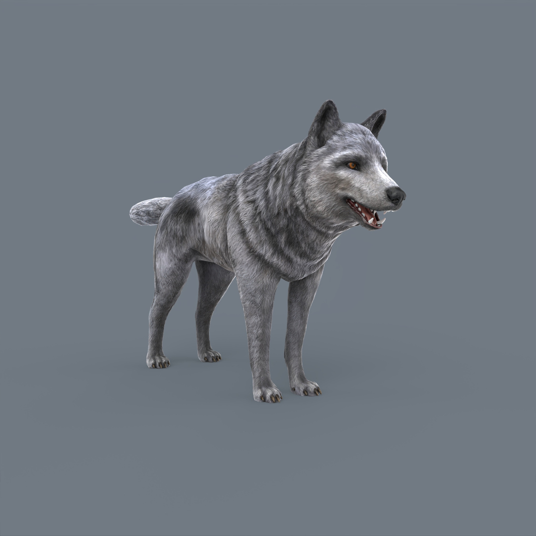 Wolf Low Poly Model - TurboSquid 2037736