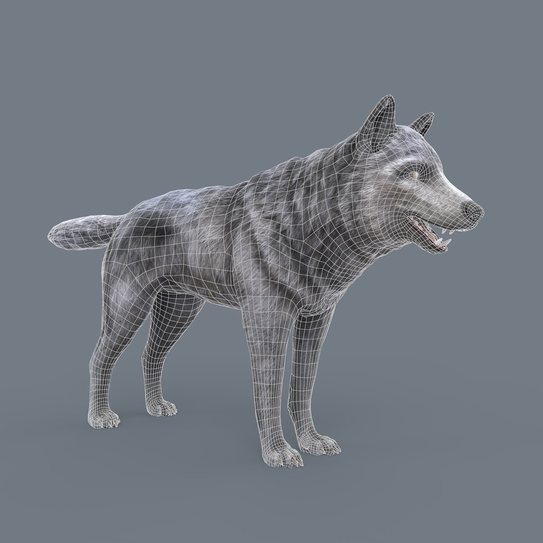 Wolf Low Poly Model - TurboSquid 2037736