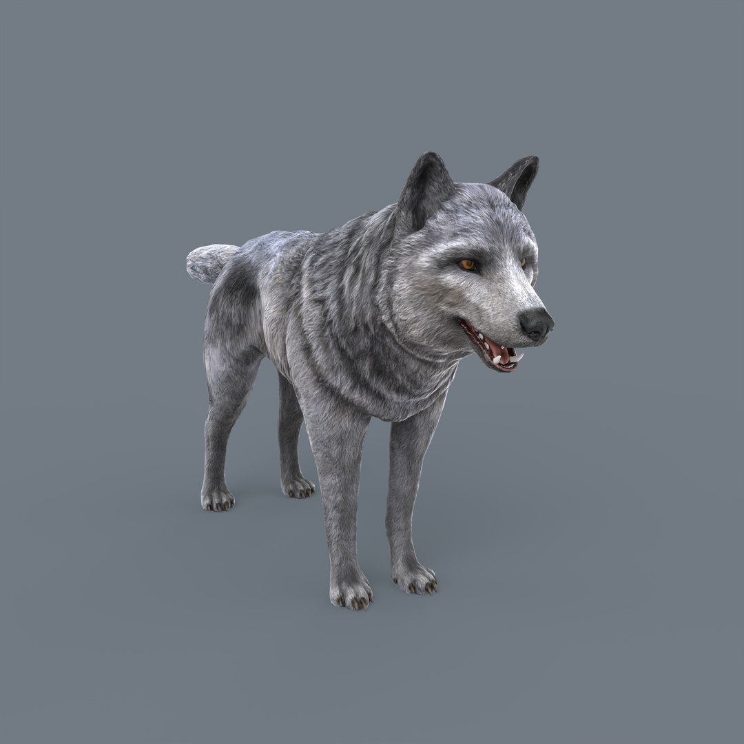 Wolf Low Poly Model - TurboSquid 2037736