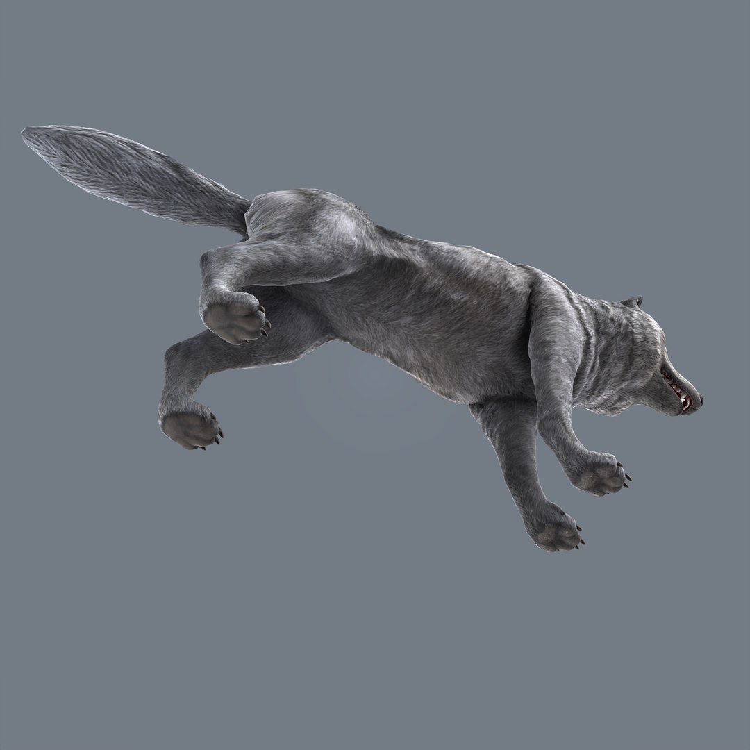 Wolf Low Poly Model - TurboSquid 2037736
