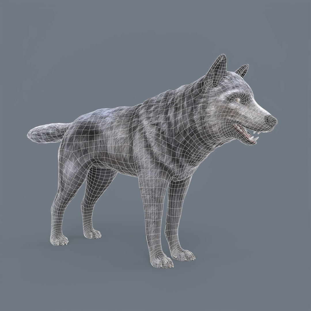 Wolf Low Poly Model - TurboSquid 2037736