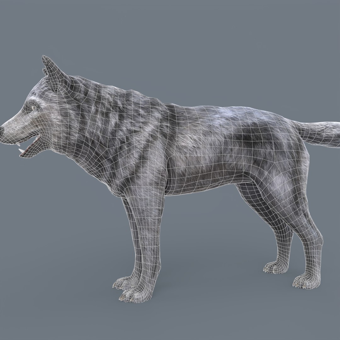 Wolf Low Poly Model - TurboSquid 2037736