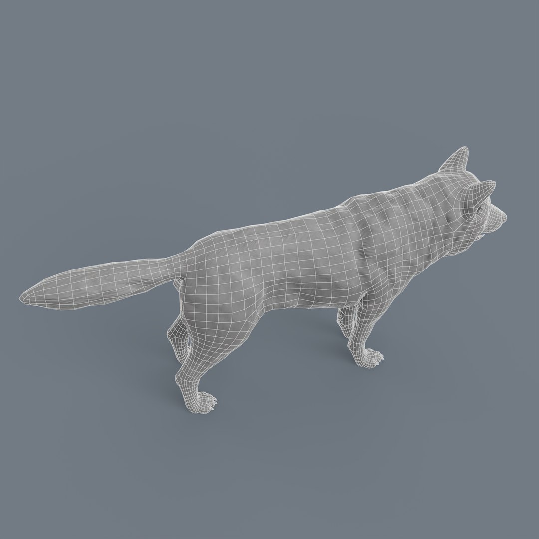 Wolf Low Poly Model - TurboSquid 2037736