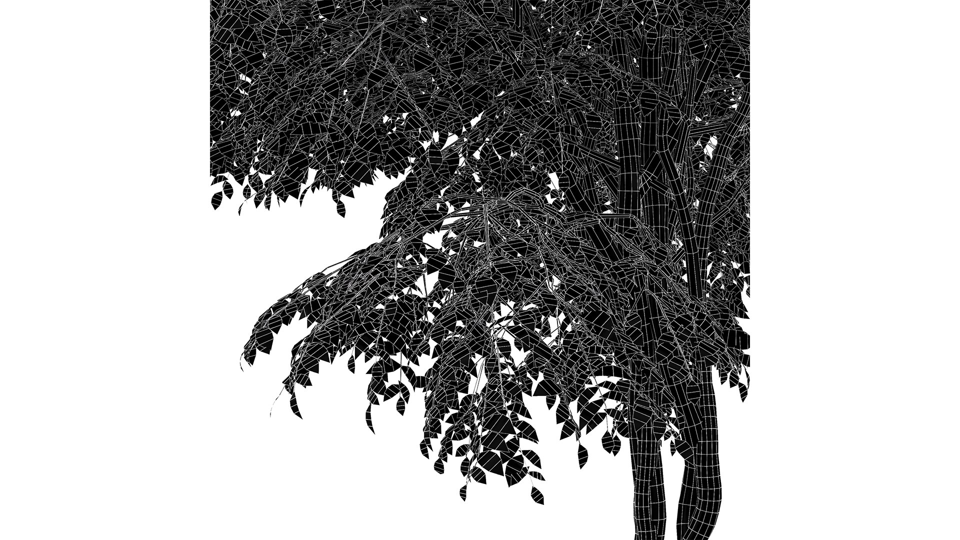 European Bladdernut 2Trees Staphylea Pinnata 3D - TurboSquid 2245056