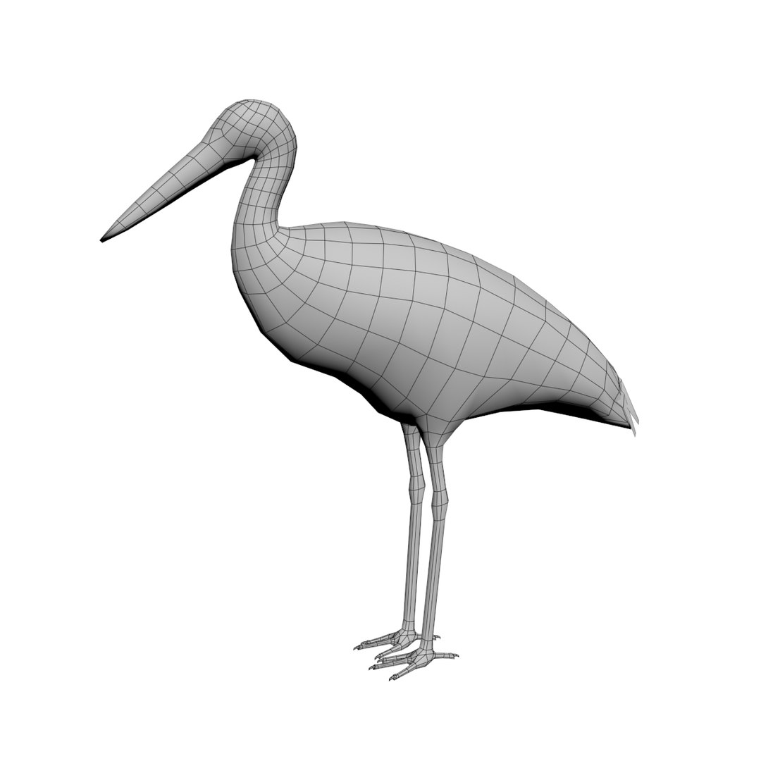 3D Model Stork Bird - TurboSquid 1401156