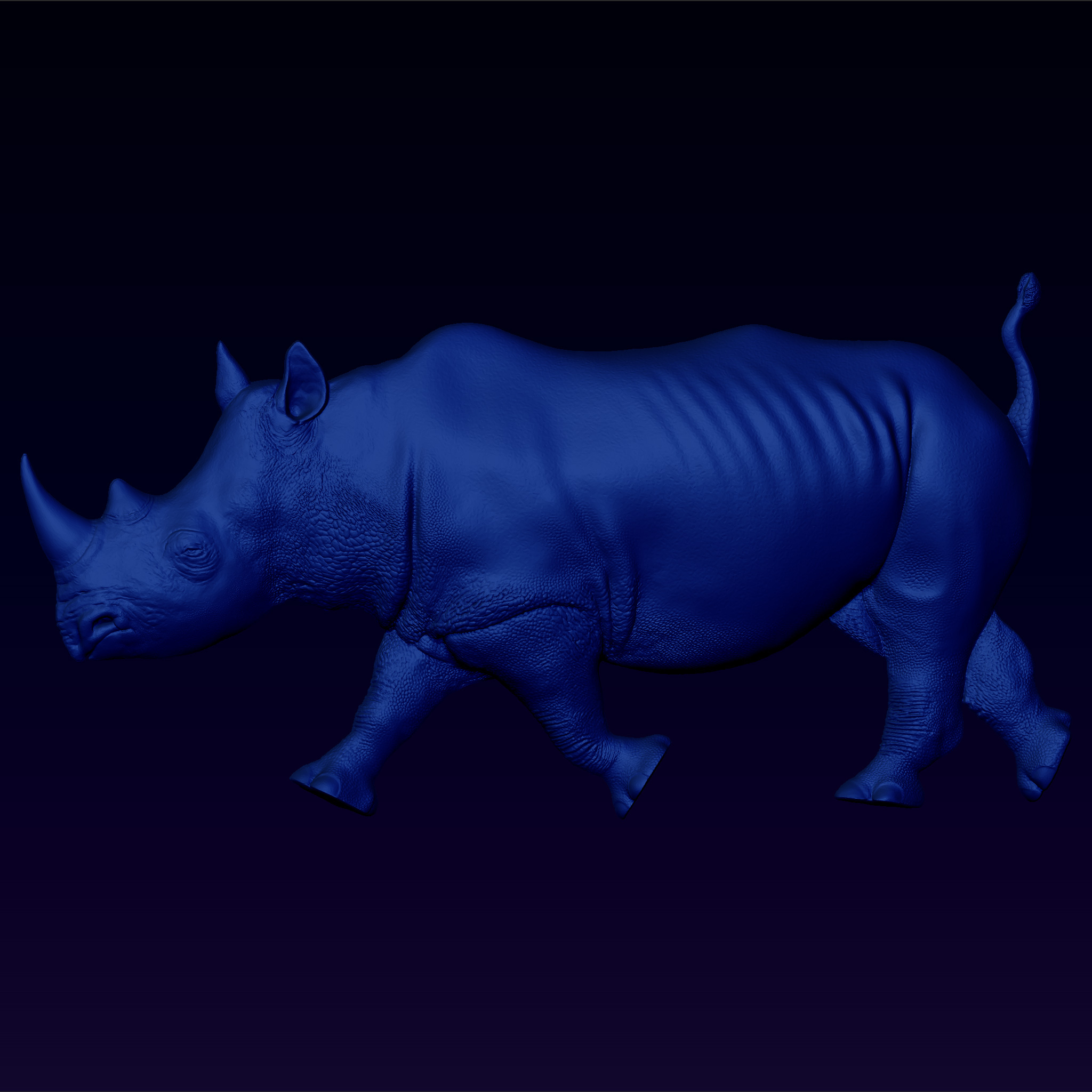 free relief rhino bas 3d model