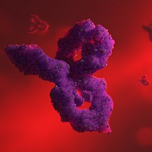 antibody 3d