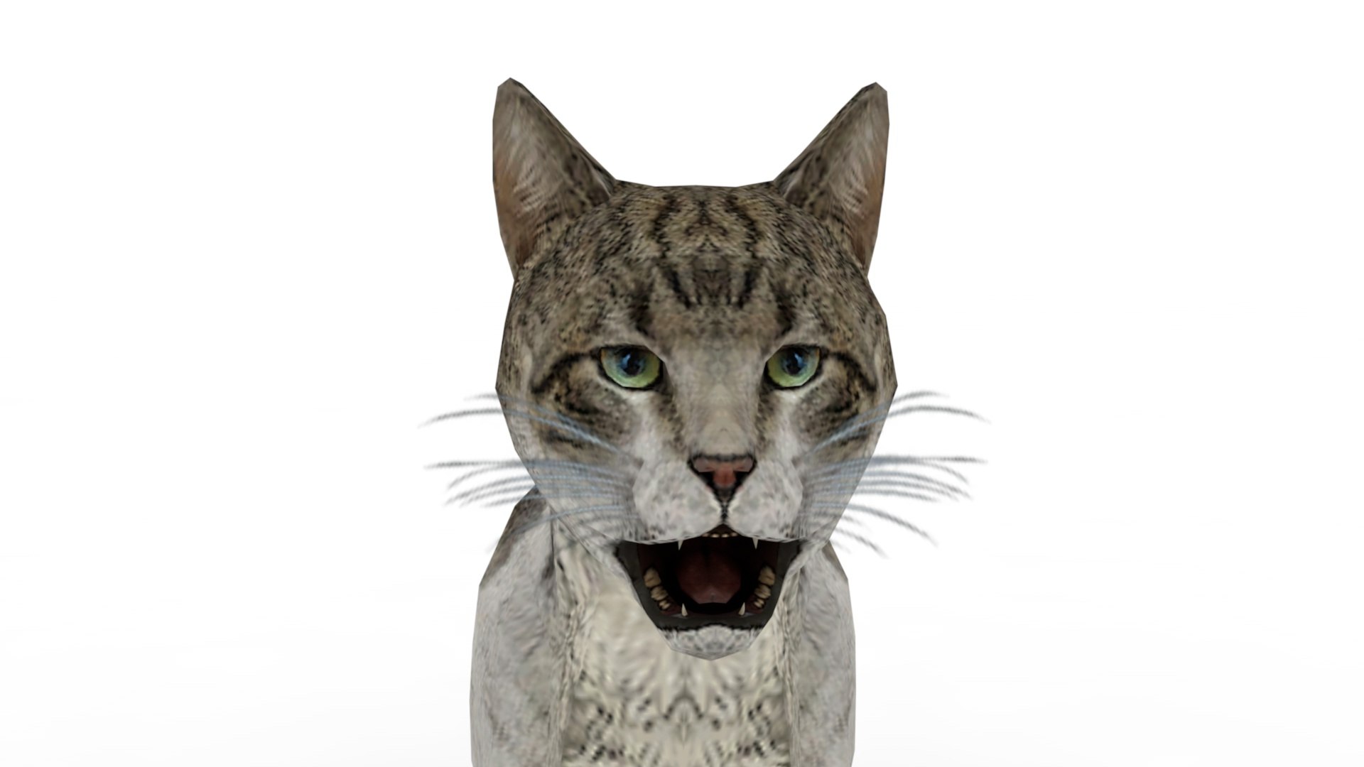 3D Model Cat - TurboSquid 2236135