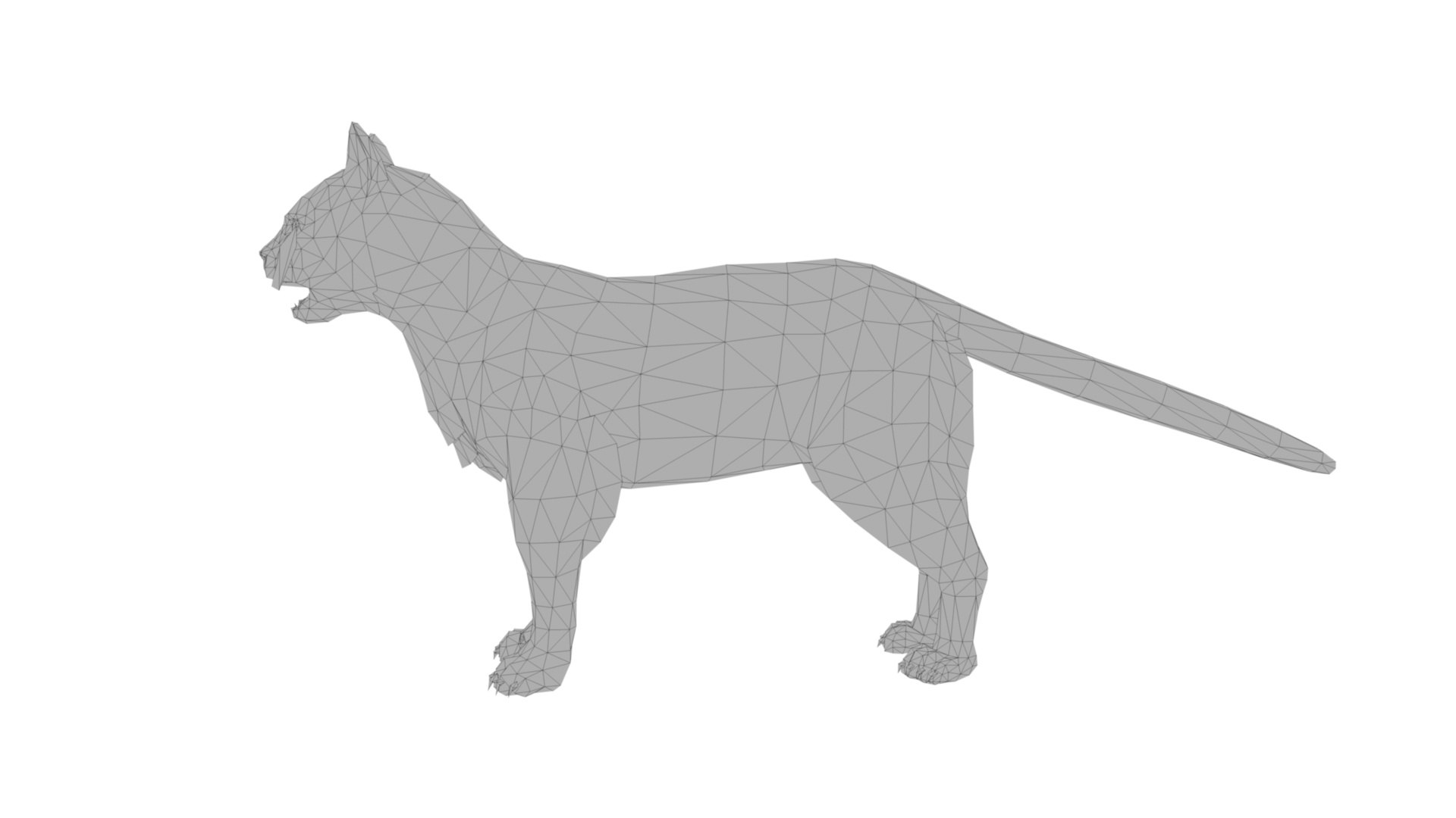 3D Model Cat - TurboSquid 2236135