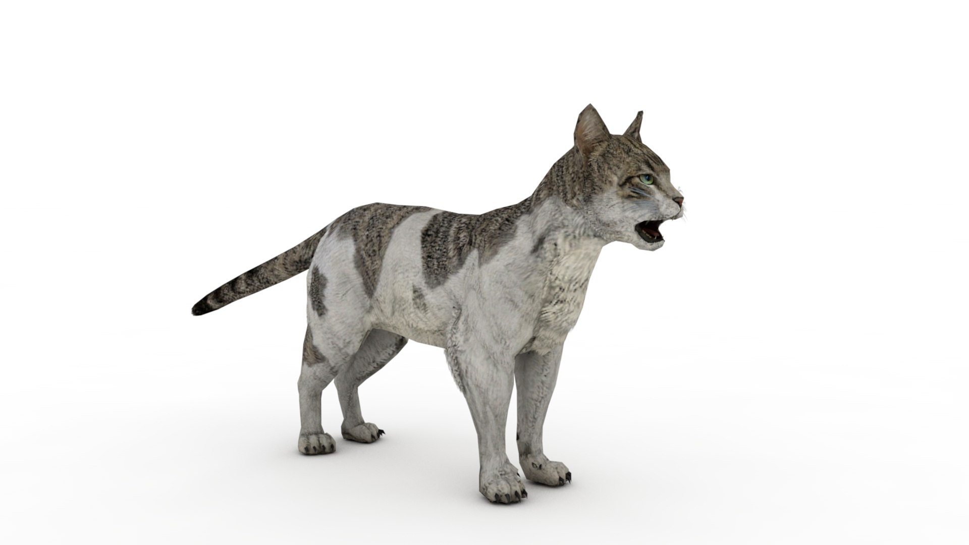 3D Model Cat - TurboSquid 2236135