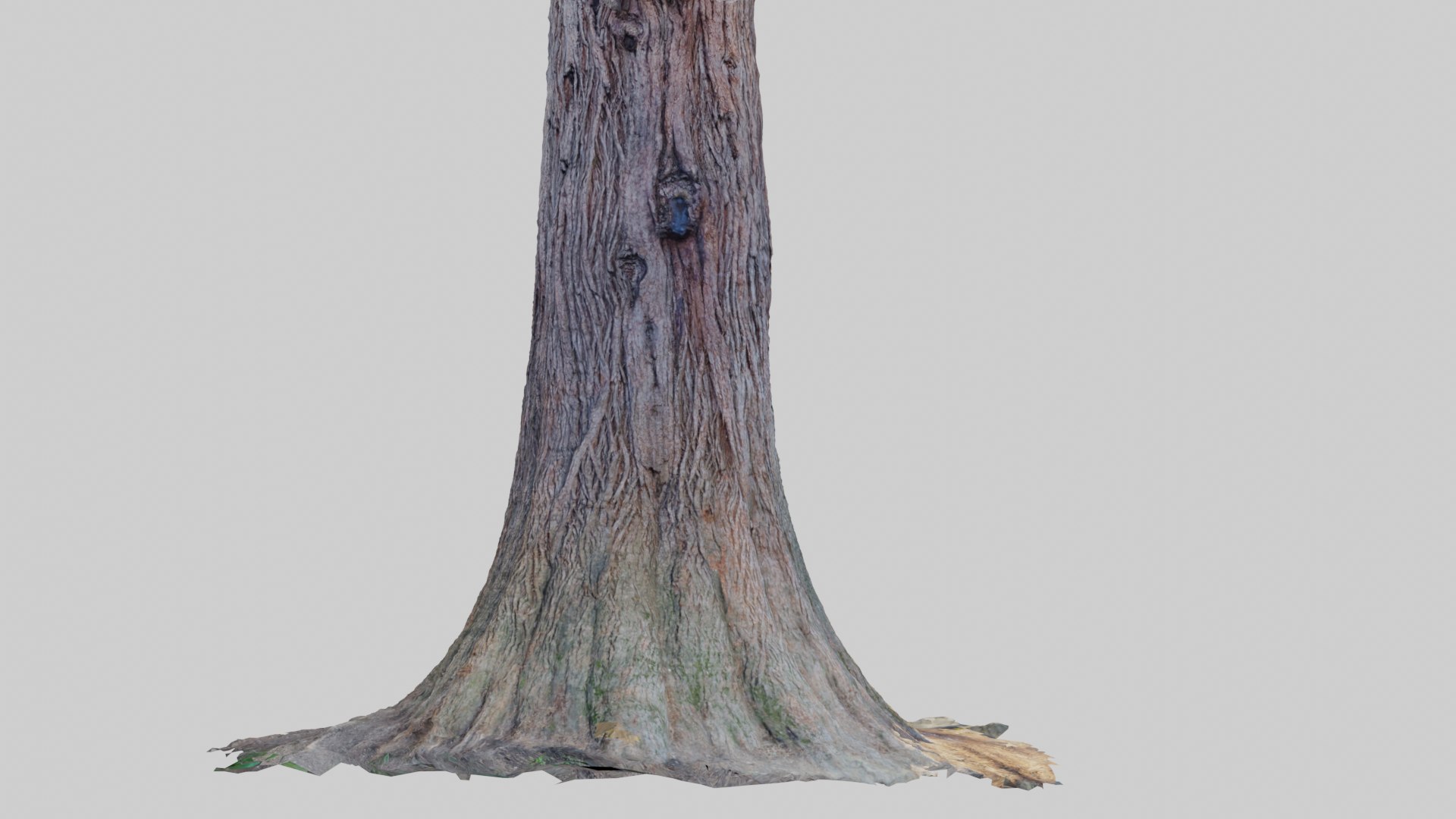 Sequoia Tree Trunk 3D Model - TurboSquid 1967899