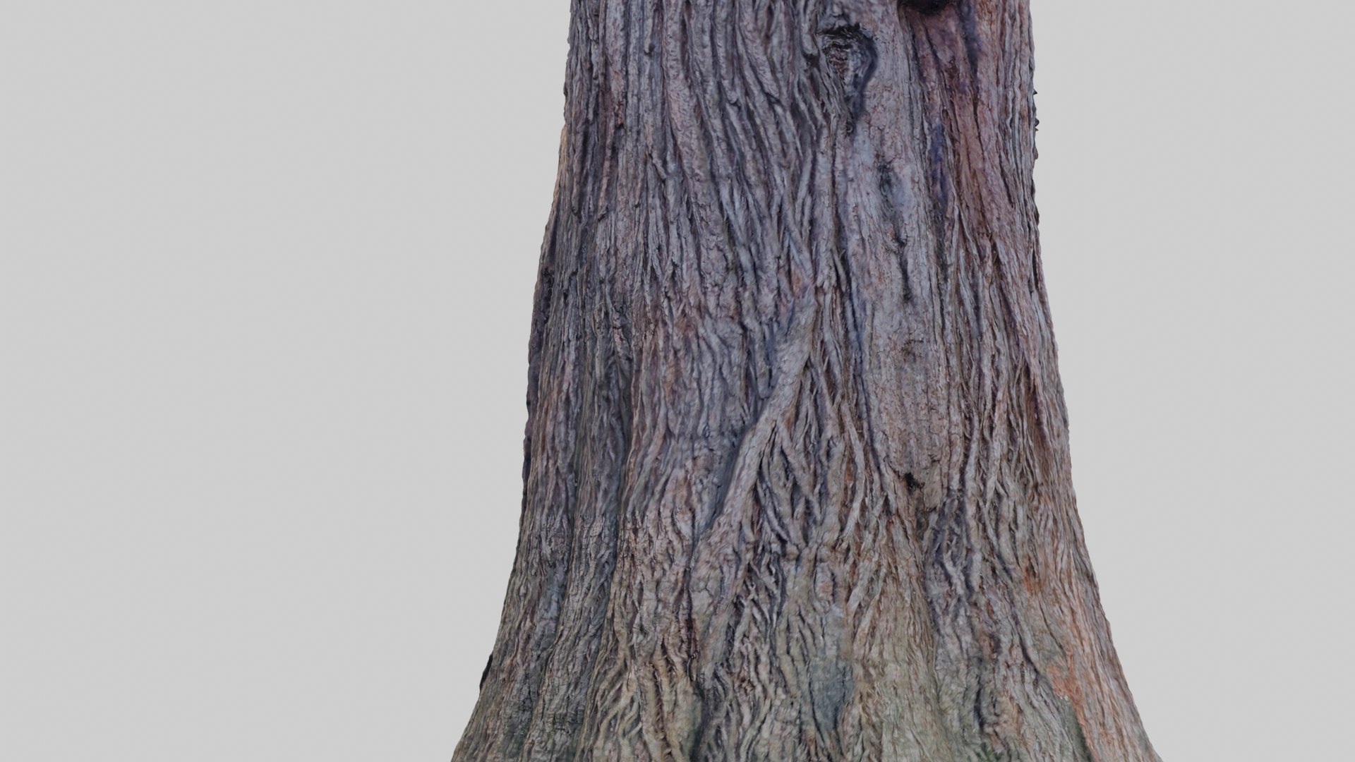 Sequoia Tree Trunk 3D Model - TurboSquid 1967899