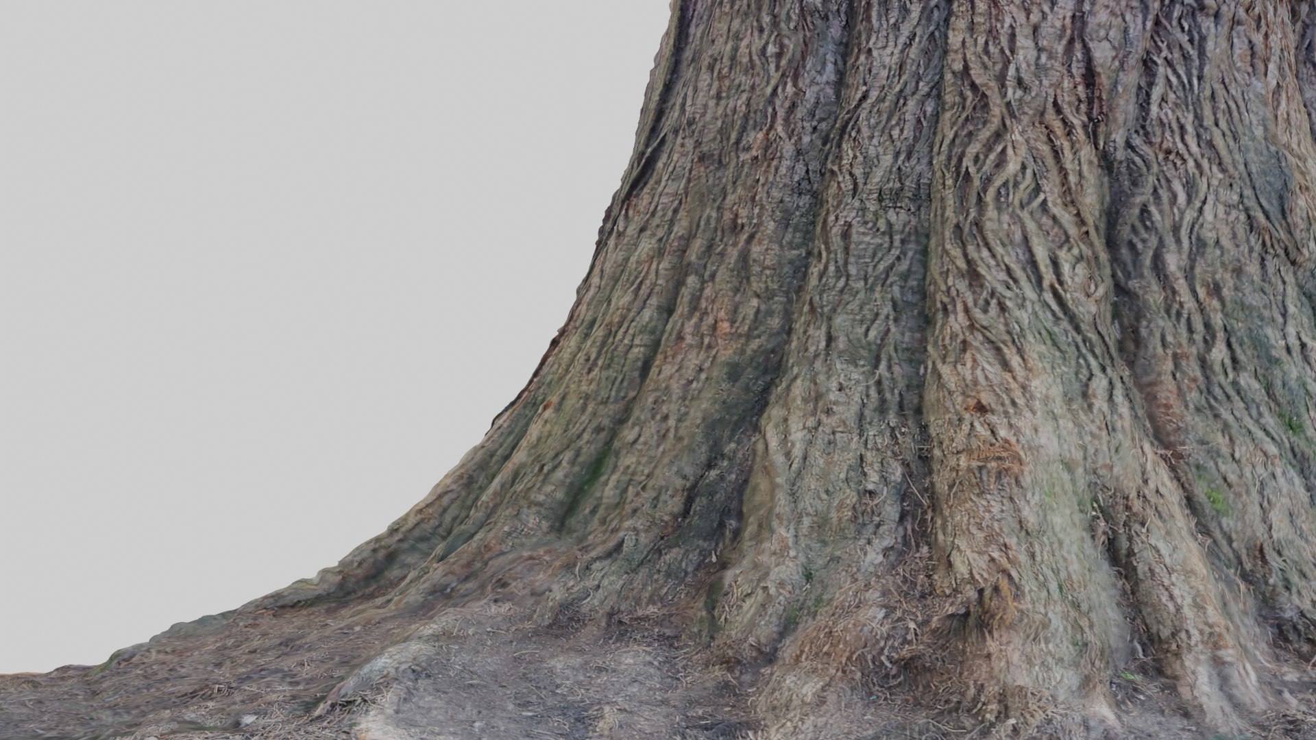 Sequoia Tree Trunk 3D Model - TurboSquid 1967899