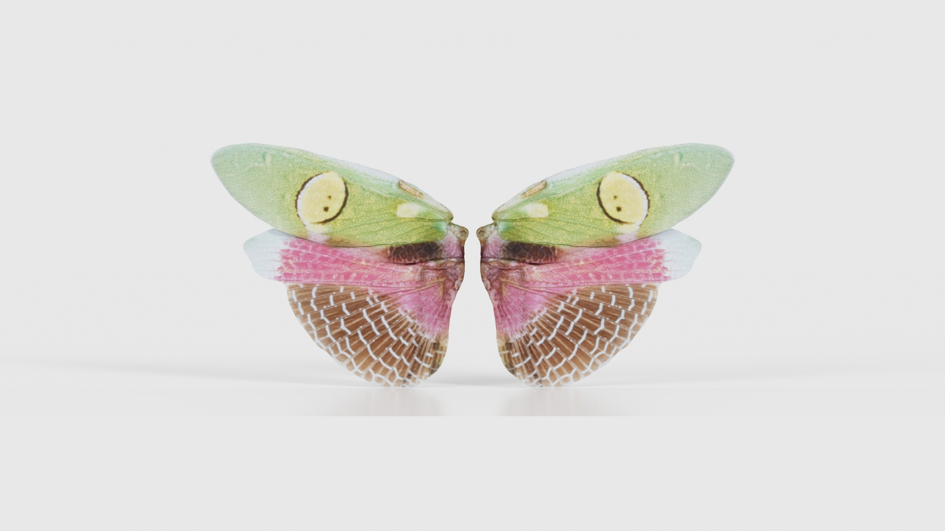 Creoboter Mortis Java Remastered 3D Model - TurboSquid 2359867