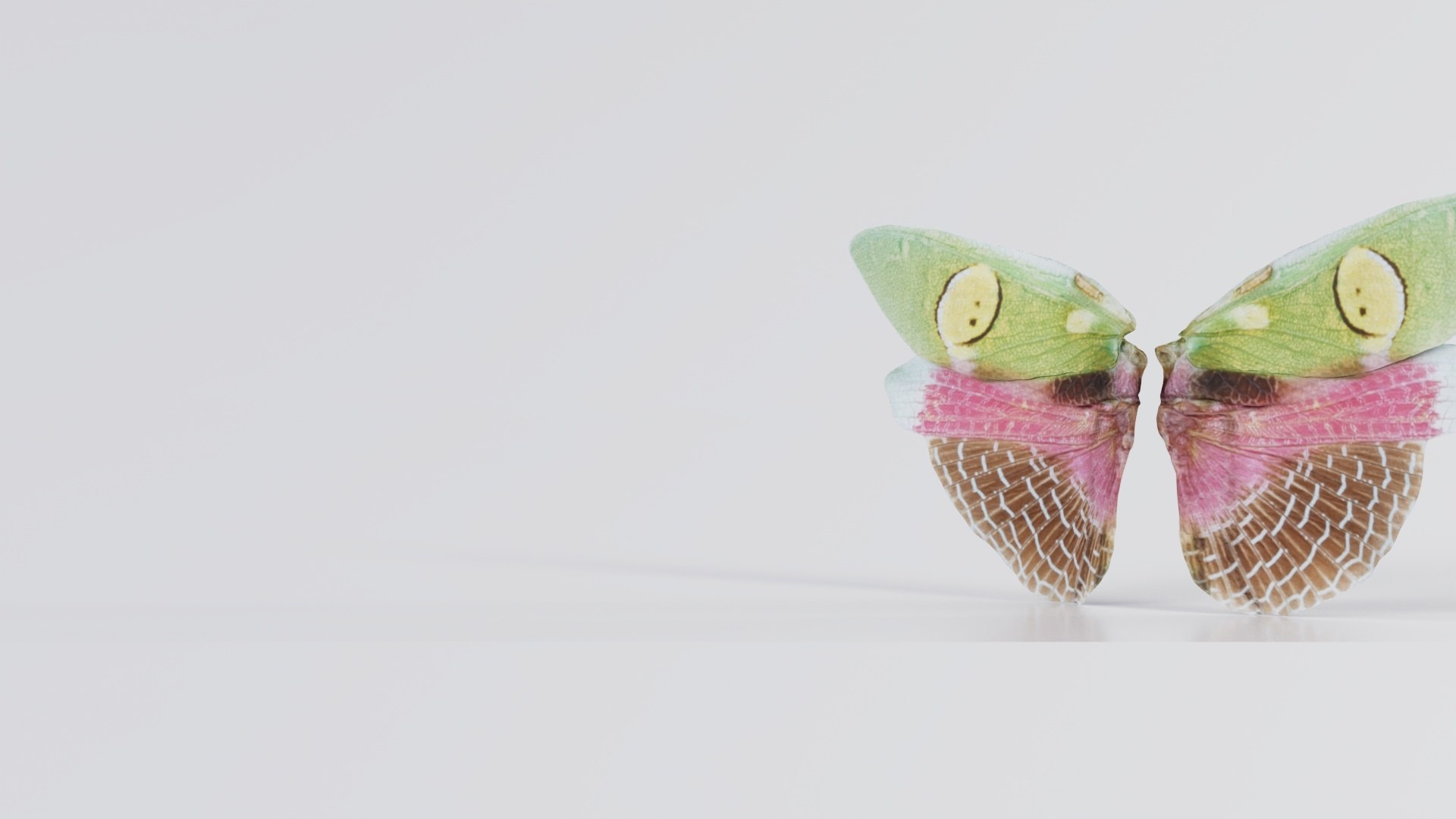 Creoboter Mortis Java Remastered 3D Model - TurboSquid 2359867