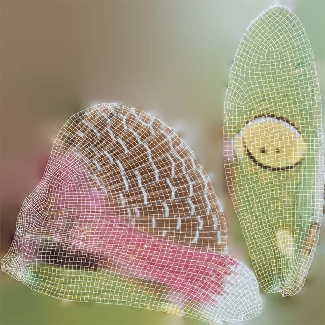 Creoboter Mortis Java Remastered 3D Model - TurboSquid 2359867