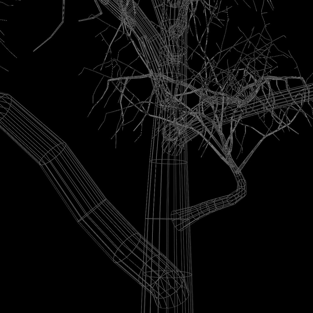 Tree Branches 3 3d Model