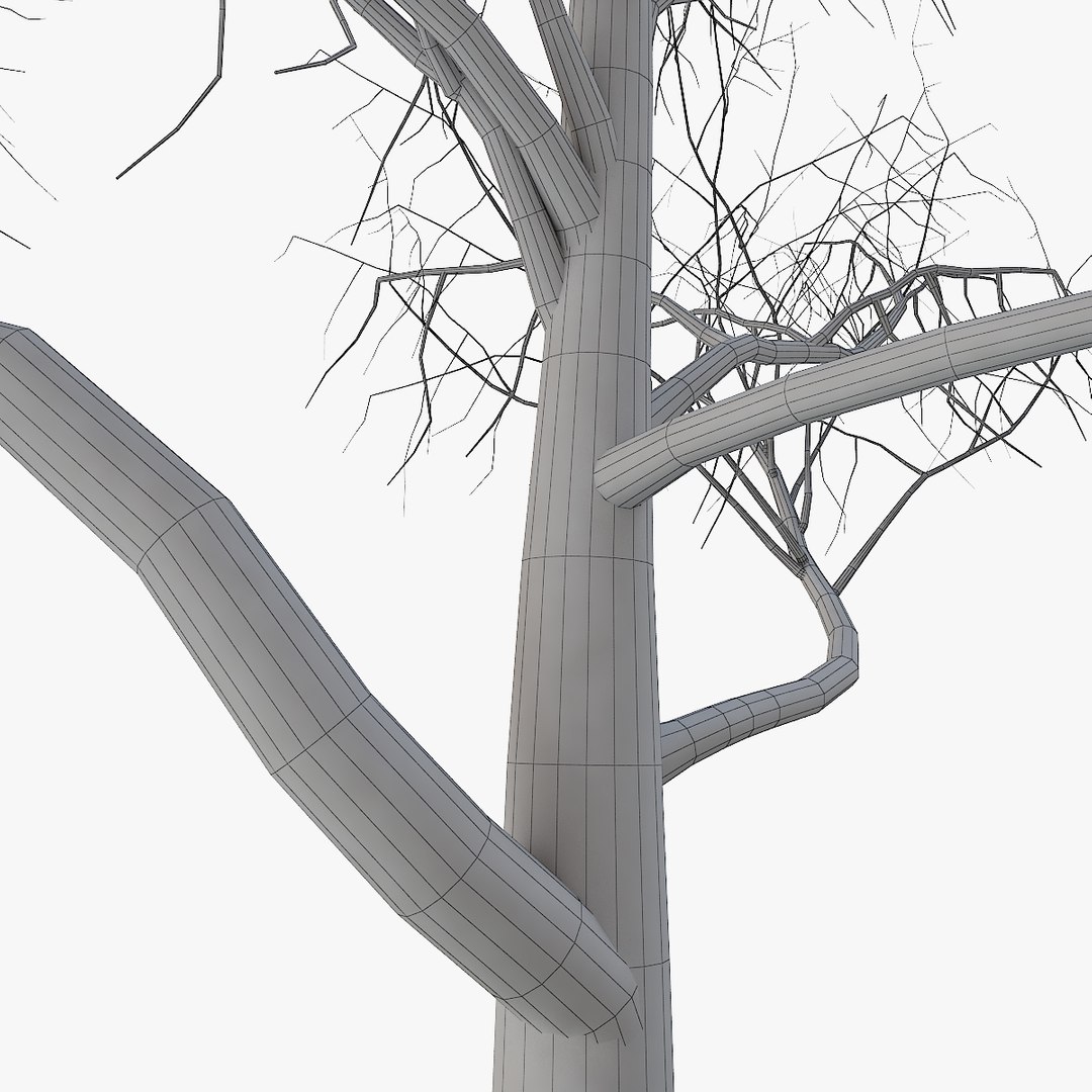Tree Branches 3 3d Model