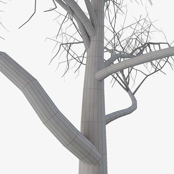 tree branches 3 3d model