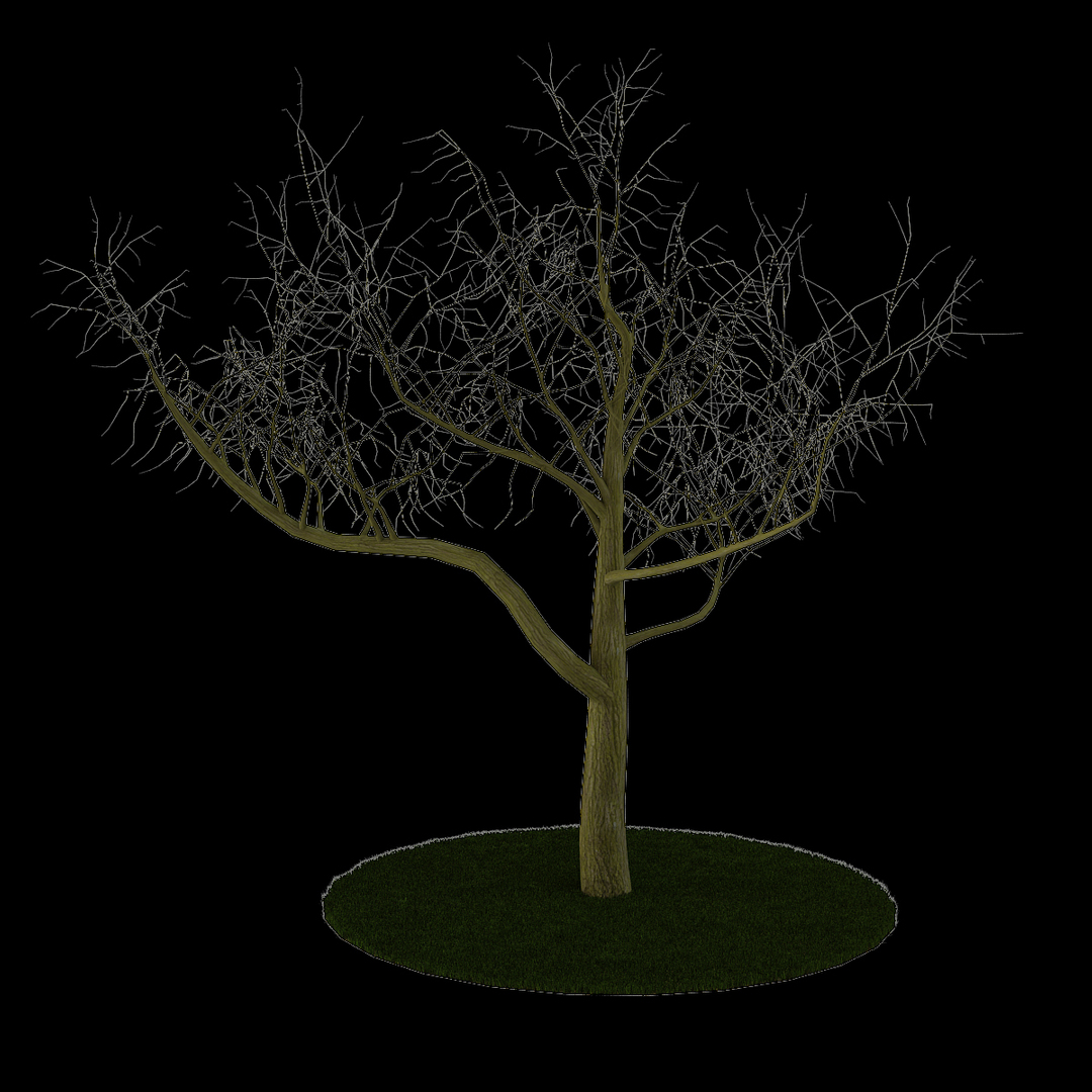 tree branches 3 3d model