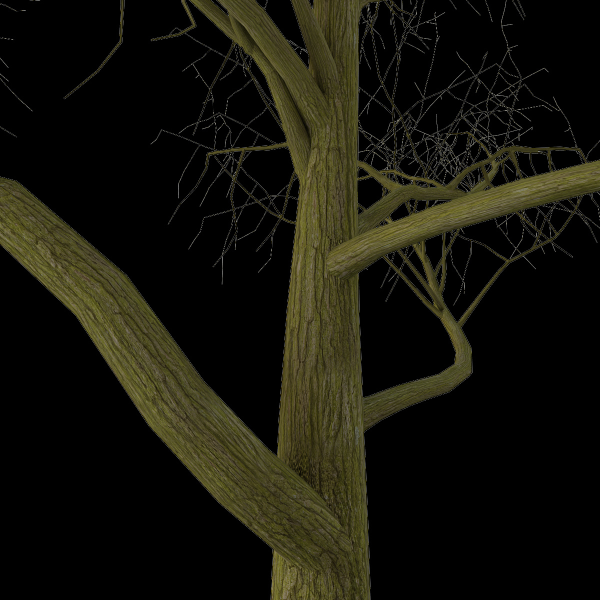 tree branches 3 3d model