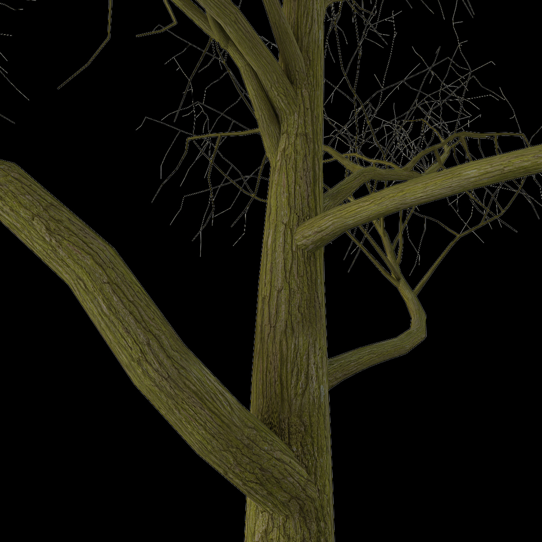 tree branches 3 3d model