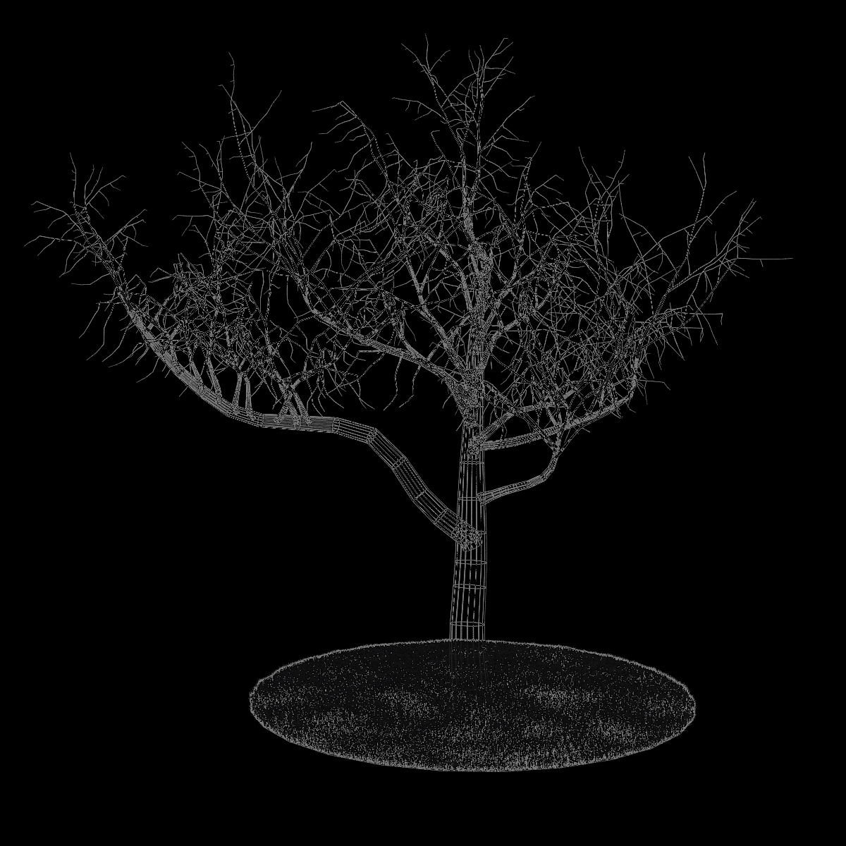 tree branches 3 3d model
