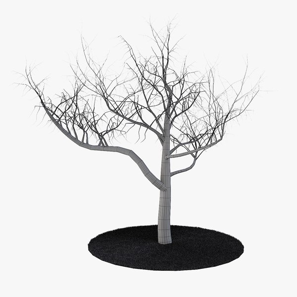 tree branches 3 3d model