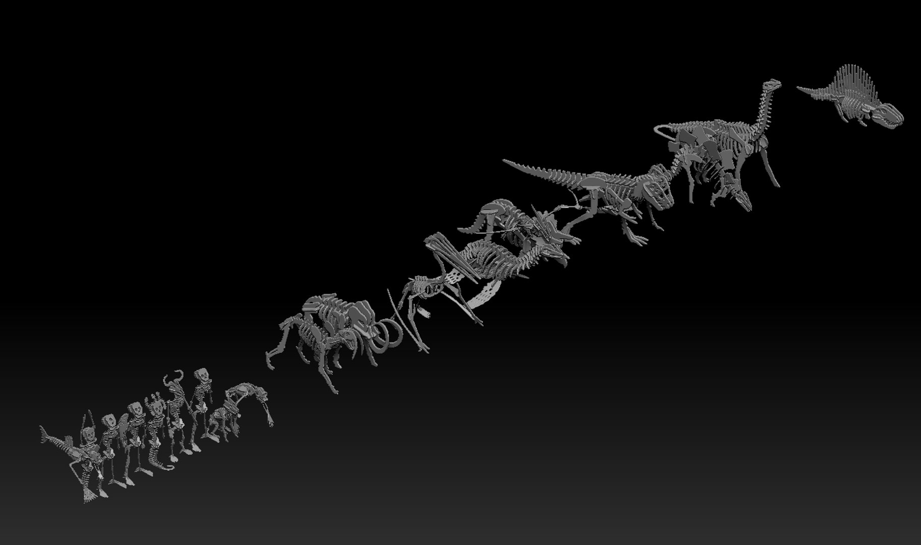 3D Model Evolution Darwin Skeleton - TurboSquid 1428001