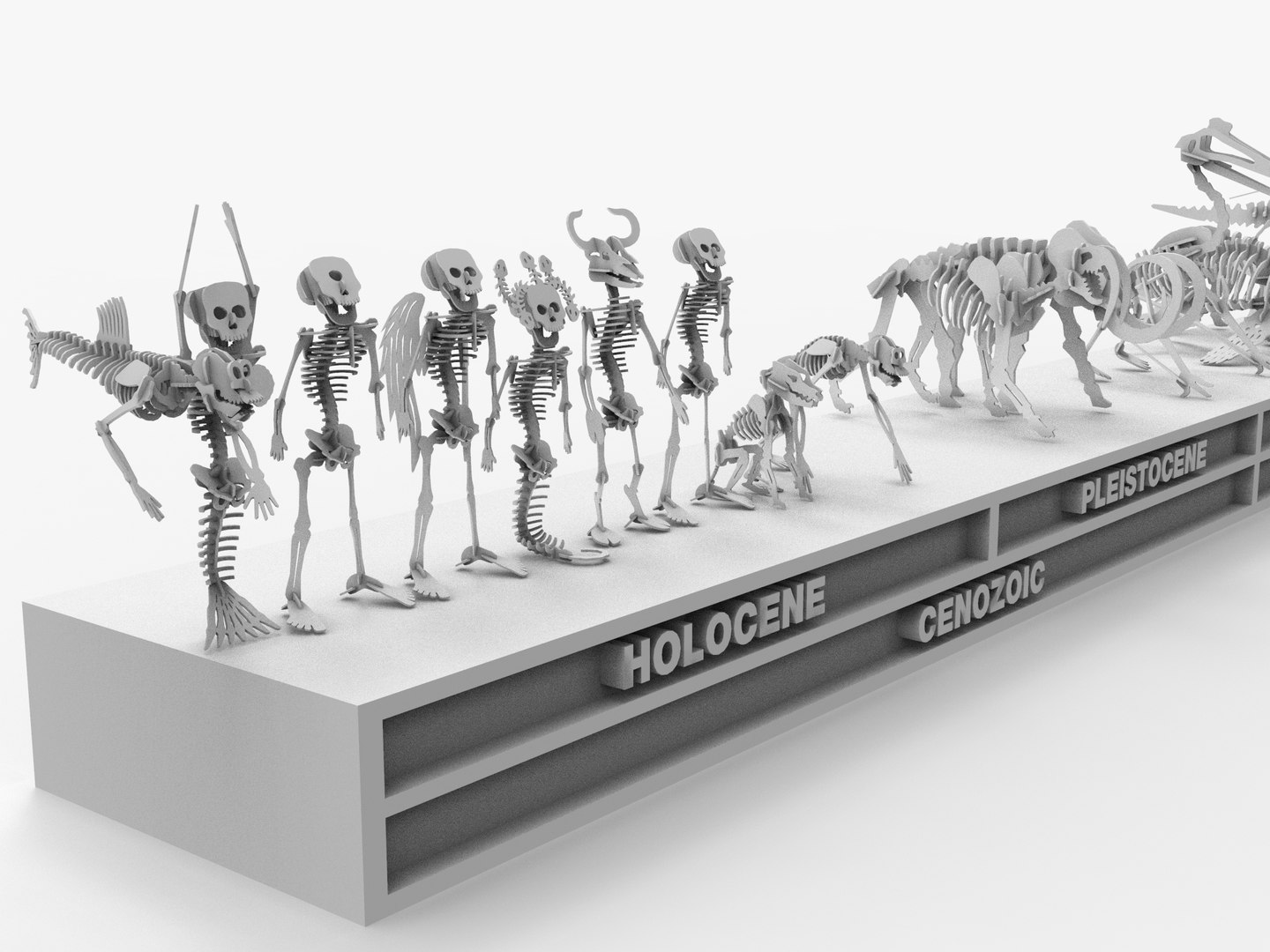 3D Model Evolution Darwin Skeleton - TurboSquid 1428001