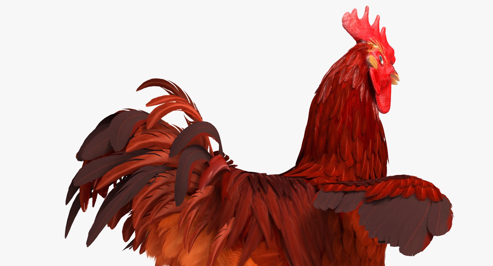 3D Chickens Hen Realistic - TurboSquid 1200617
