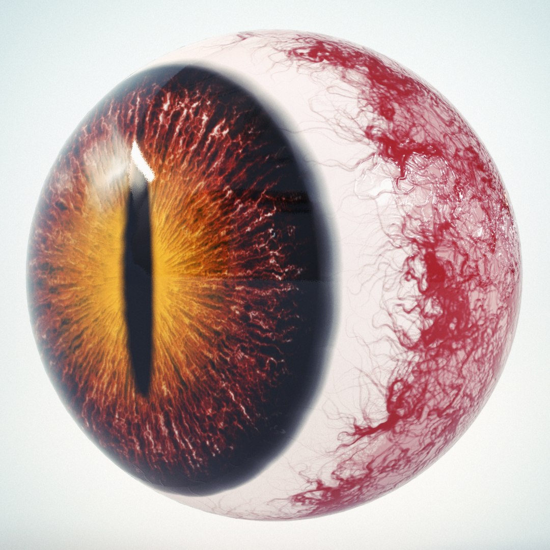 Cat Eye 3D Model - TurboSquid 1427836