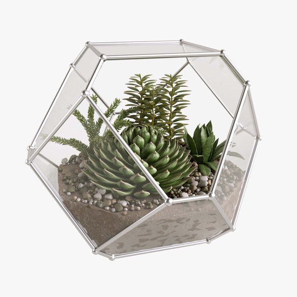 Florarium with succulents 3D - TurboSquid 1840564