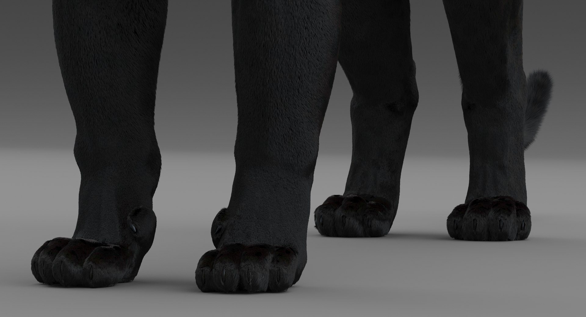3D Black Panther Leopard Fur - TurboSquid 1424216