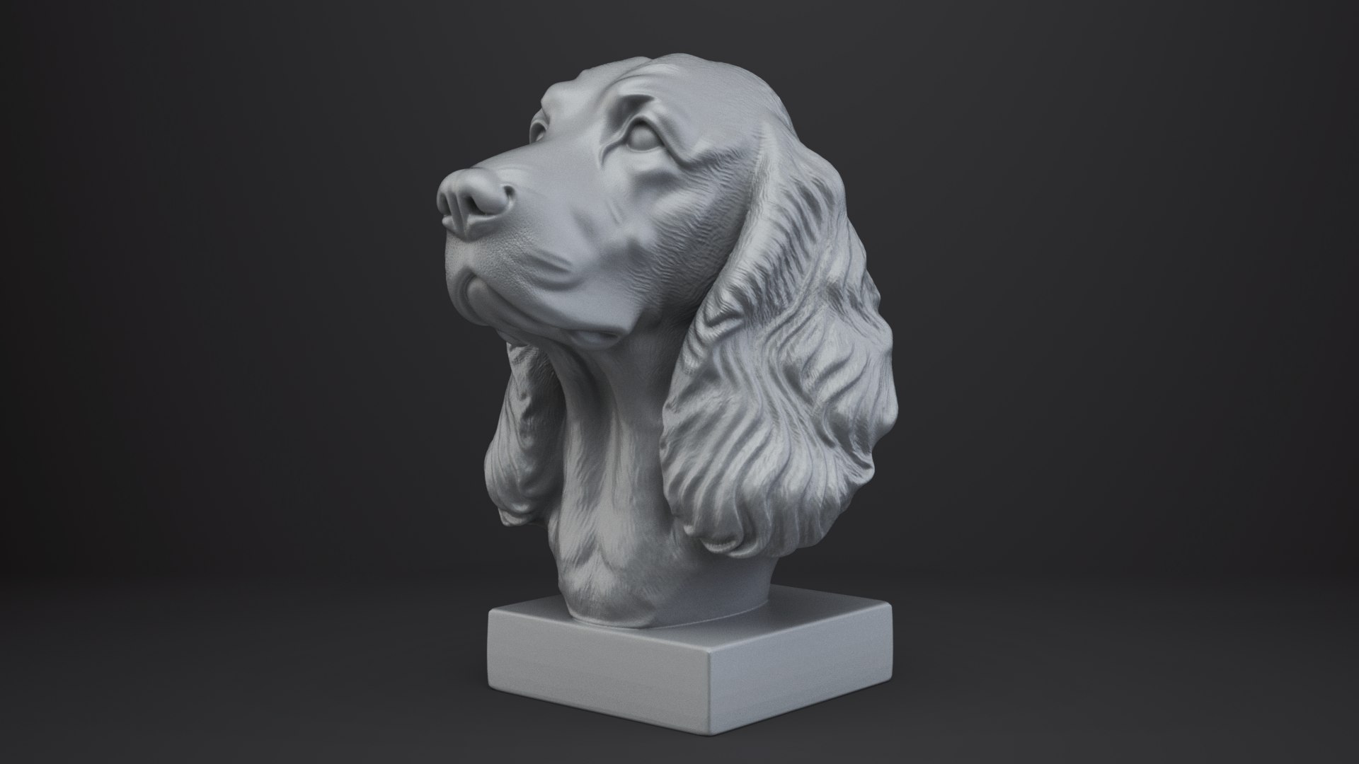 Cocker Spaniel Dog Bust 3D Model - TurboSquid 2511449