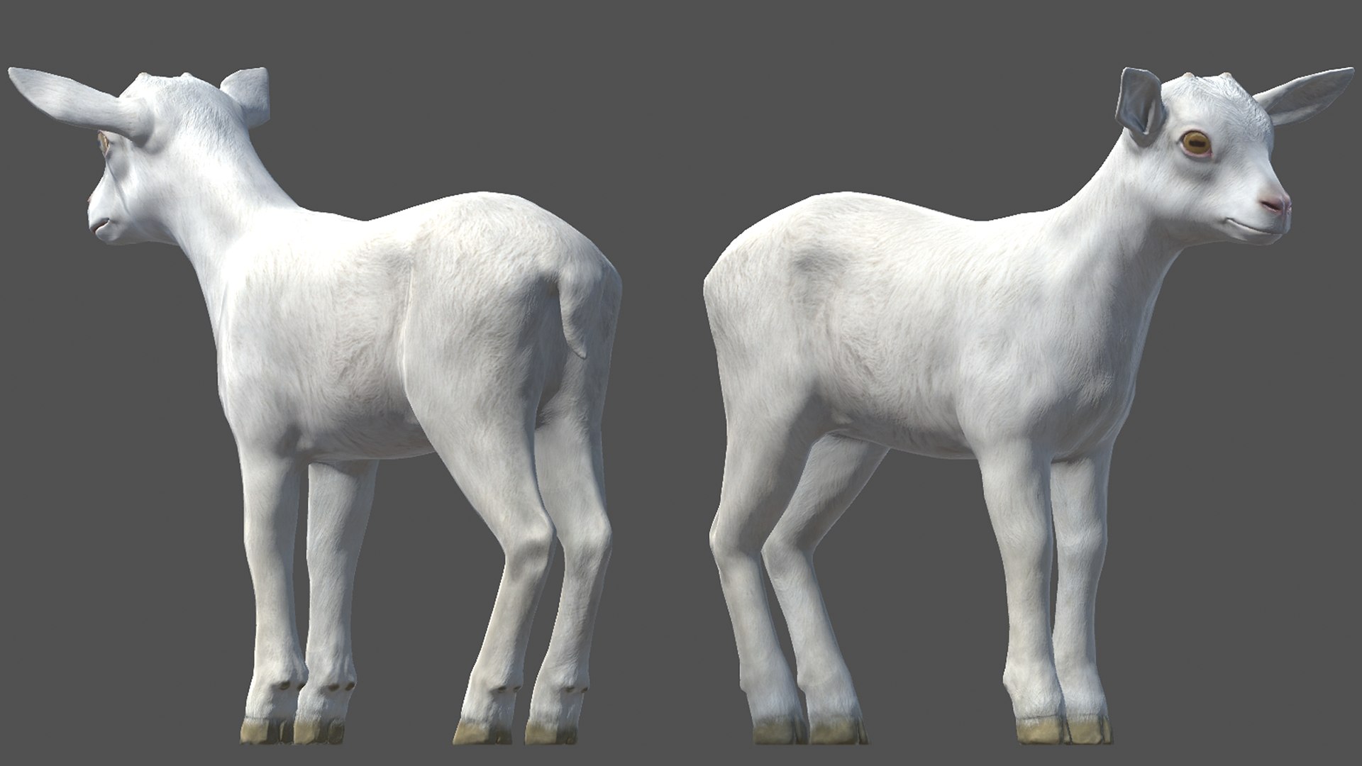 Goatling Model - TurboSquid 1938356