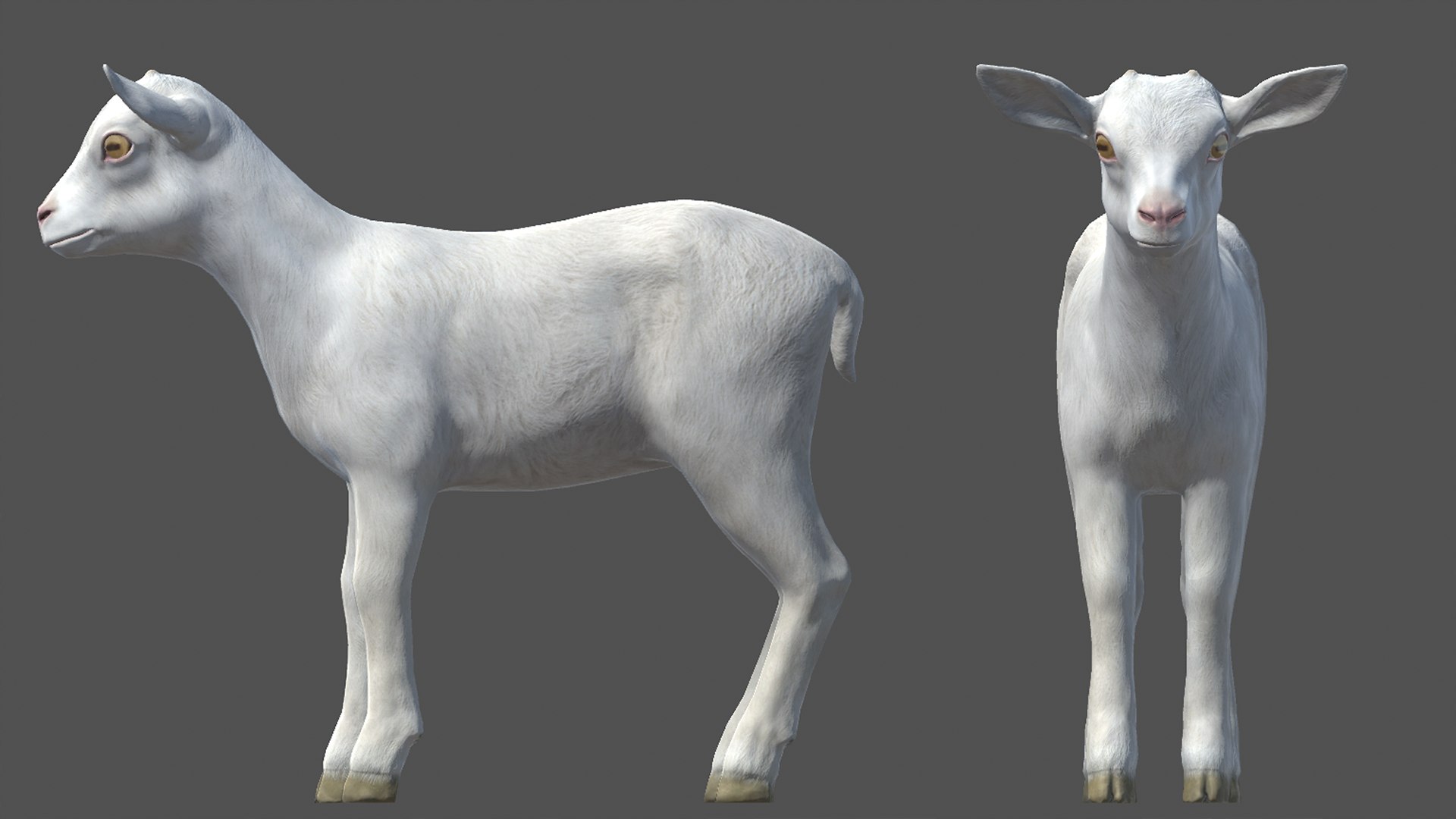 Goatling Model - TurboSquid 1938356