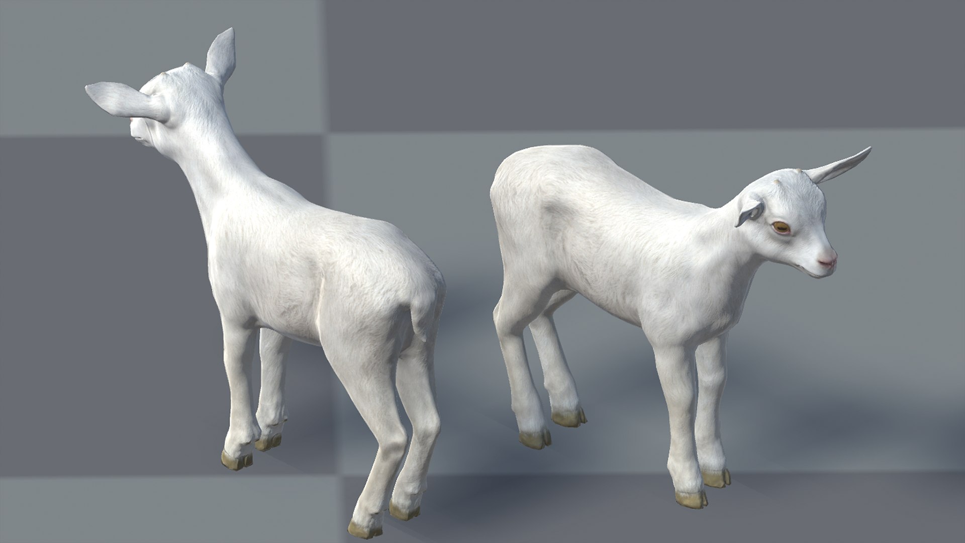 Goatling Model - TurboSquid 1938356