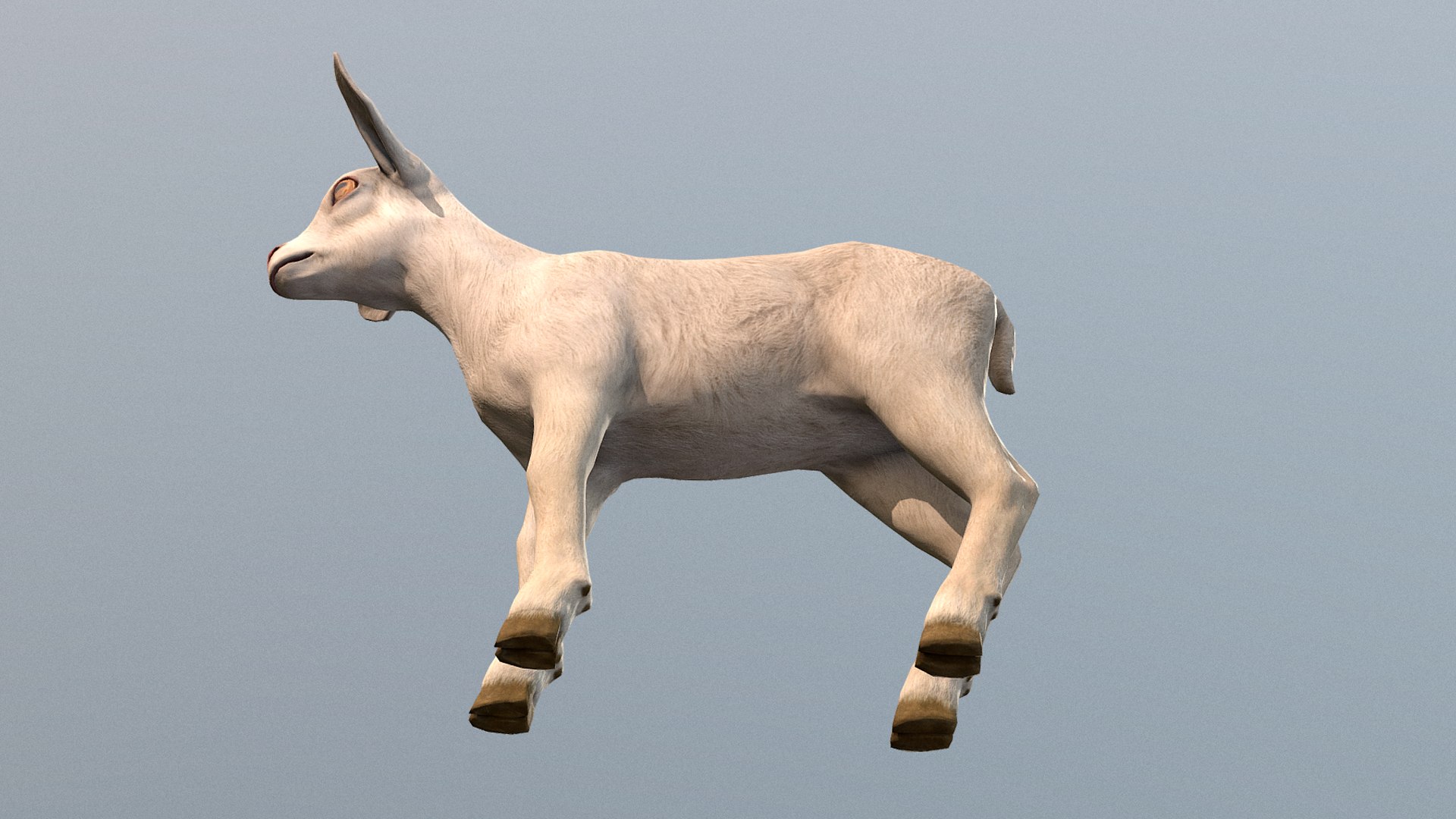 Goatling Model - TurboSquid 1938356