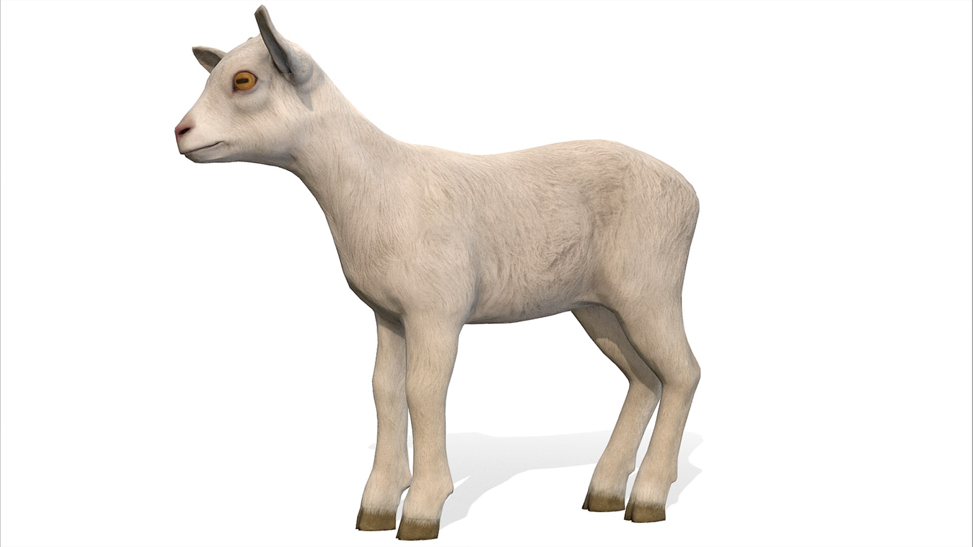 Goatling Model - TurboSquid 1938356